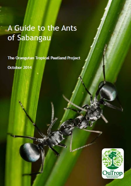 A Taxonomic Ant Picturebase of Asia and Europe